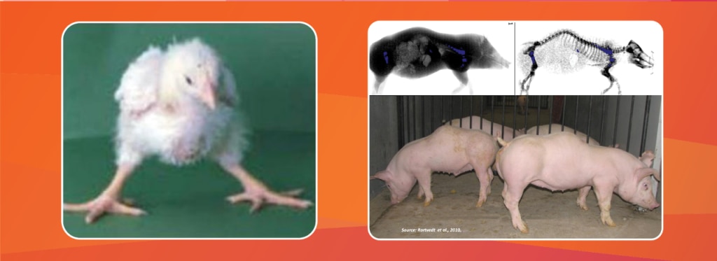 deficiency disease example