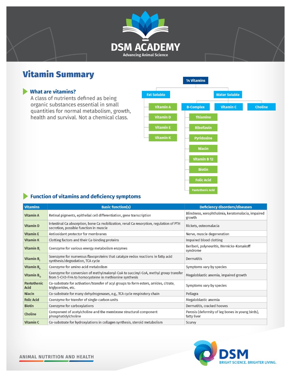 dsm-firmenich Academy - Vitamin Summary