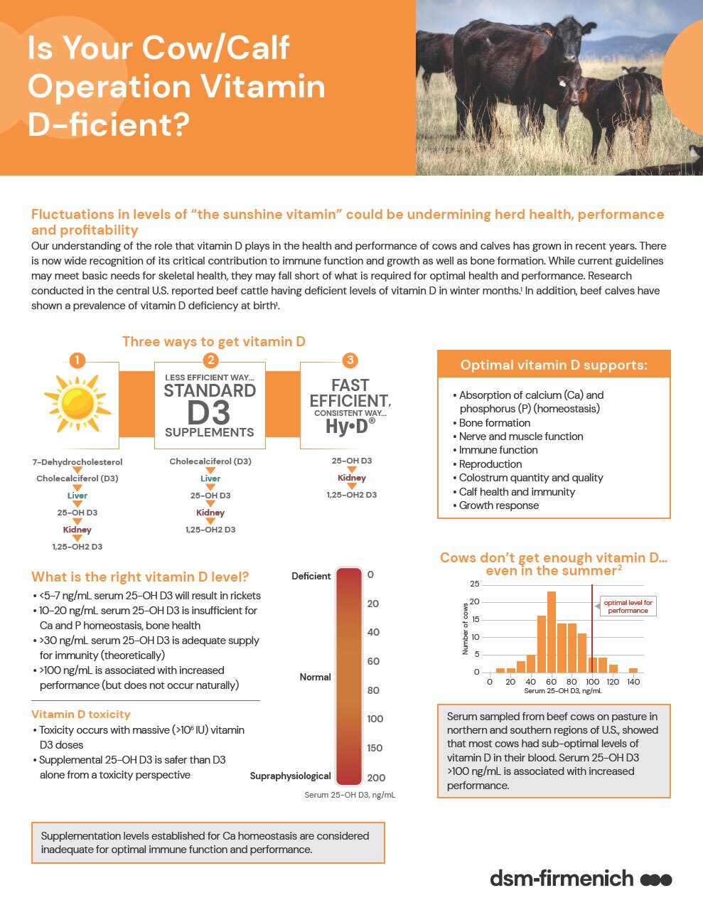 Hy-D® Beef for Cow-Calf Sales Aid