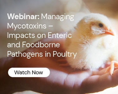 Webinar: Managing Mycotoxins - Impacts on Enteric and Foodborne ...