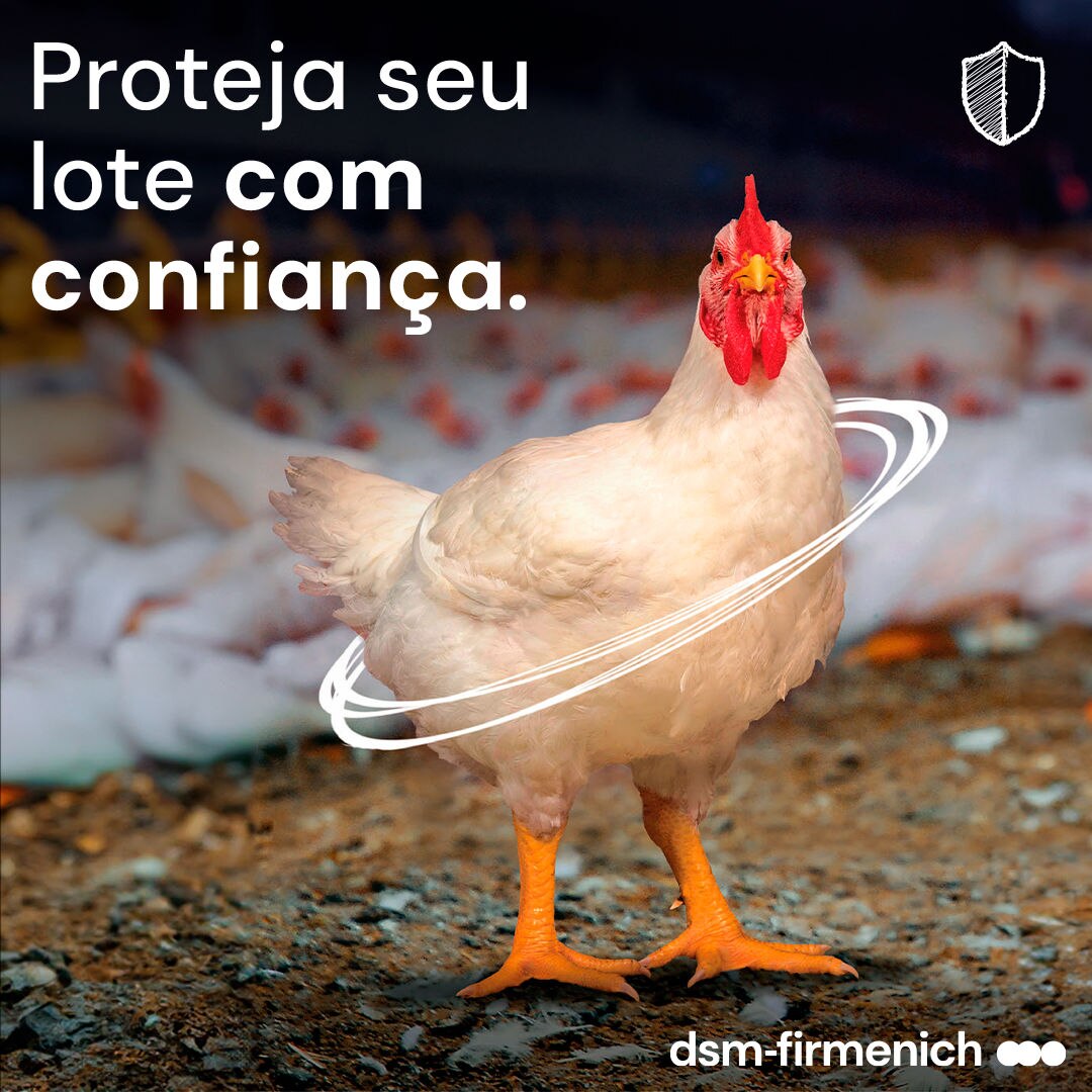 Poultry Protect - Proteja sus aves con confianza