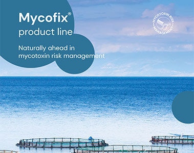 Mycofix® for aquaculture