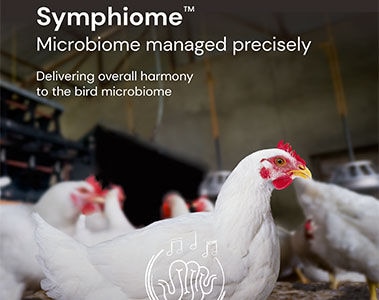 Unlock Harmony in Poultry Gut Health with Symphiome™
