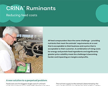 Infosheet: CRINA® Ruminants