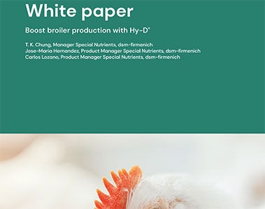Boost broiler production with Hy-D®