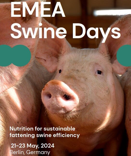 Explore our Swine Solutions EuroTier 2024