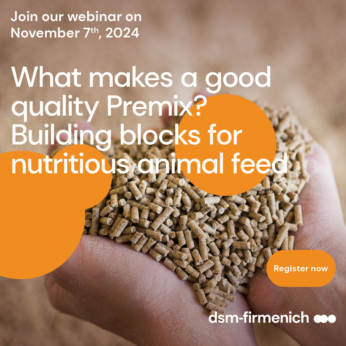 Webinar: What makes a good quality Premix? – Building blocks for ...
