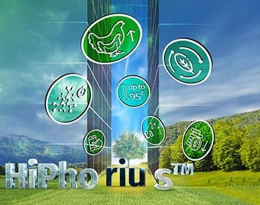 dsm-firmenich-Novozymes Alliance launches its new generation phytase ...
