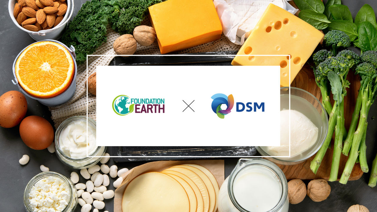 dsm-firmenich and Foundation Earth partner to promote food eco-labeling