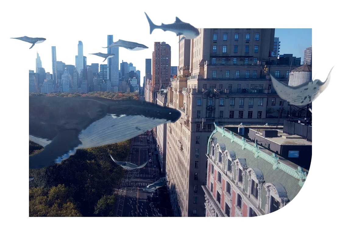 DSM puts spotlight on protecting the marine ecosystem with newly ...