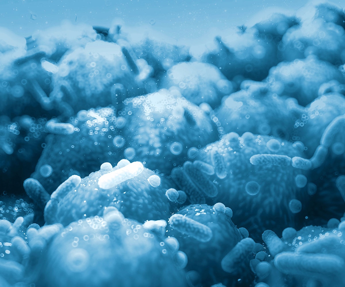 Postbiotic Solutions beyond Gut Health | dsm-firmenich Health ...