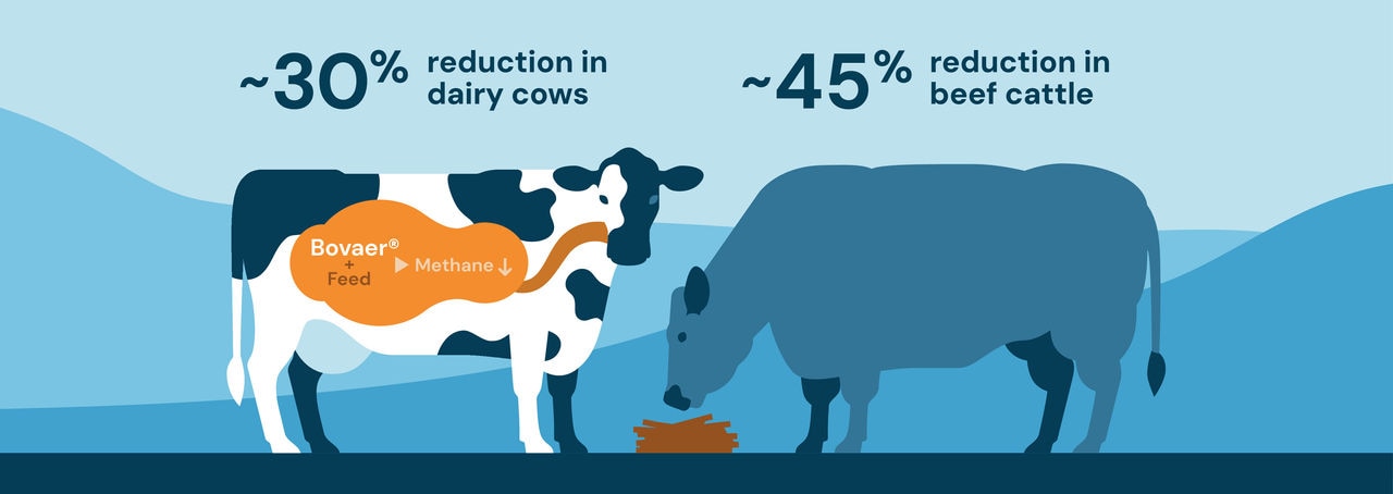 Get to know about Bovaer®