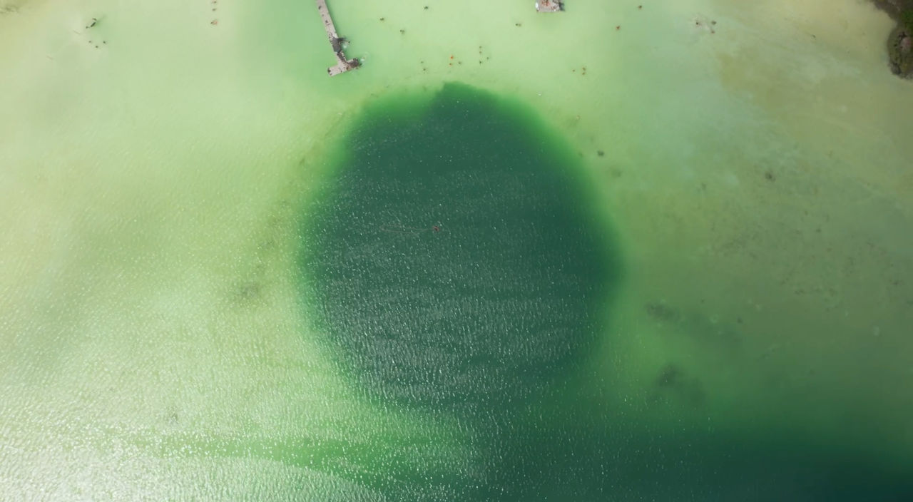 life’s®OMEGA | dsm-firmenich Taste, Texture & Health