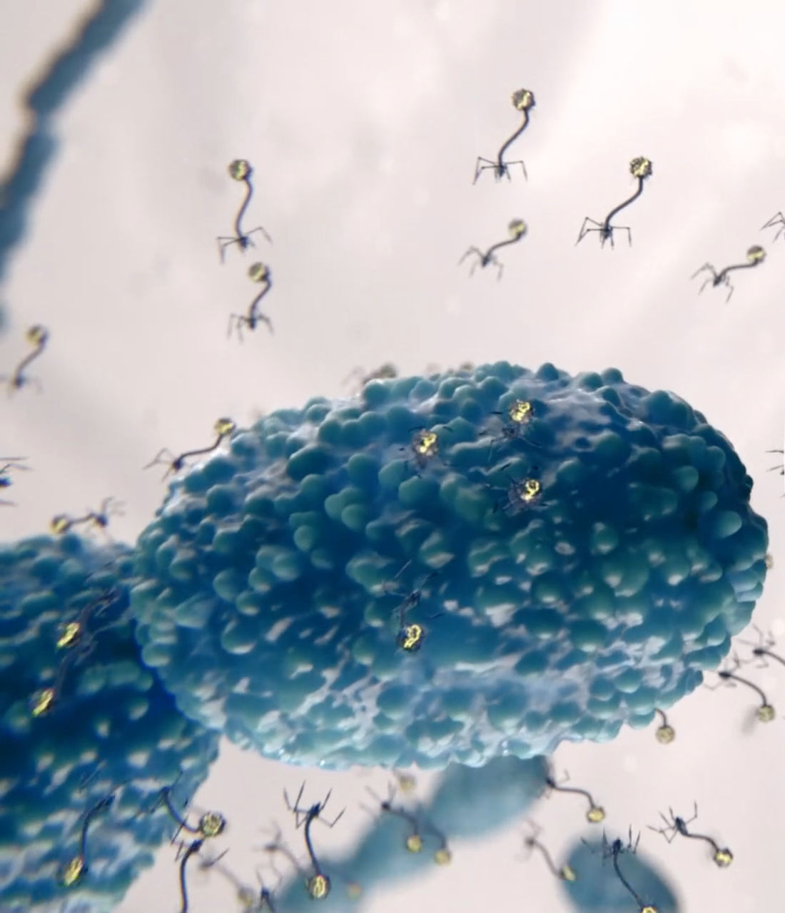 dsm-firmenich en APC Microbiome Ireland ontdekken nieuwe bacteriële ...