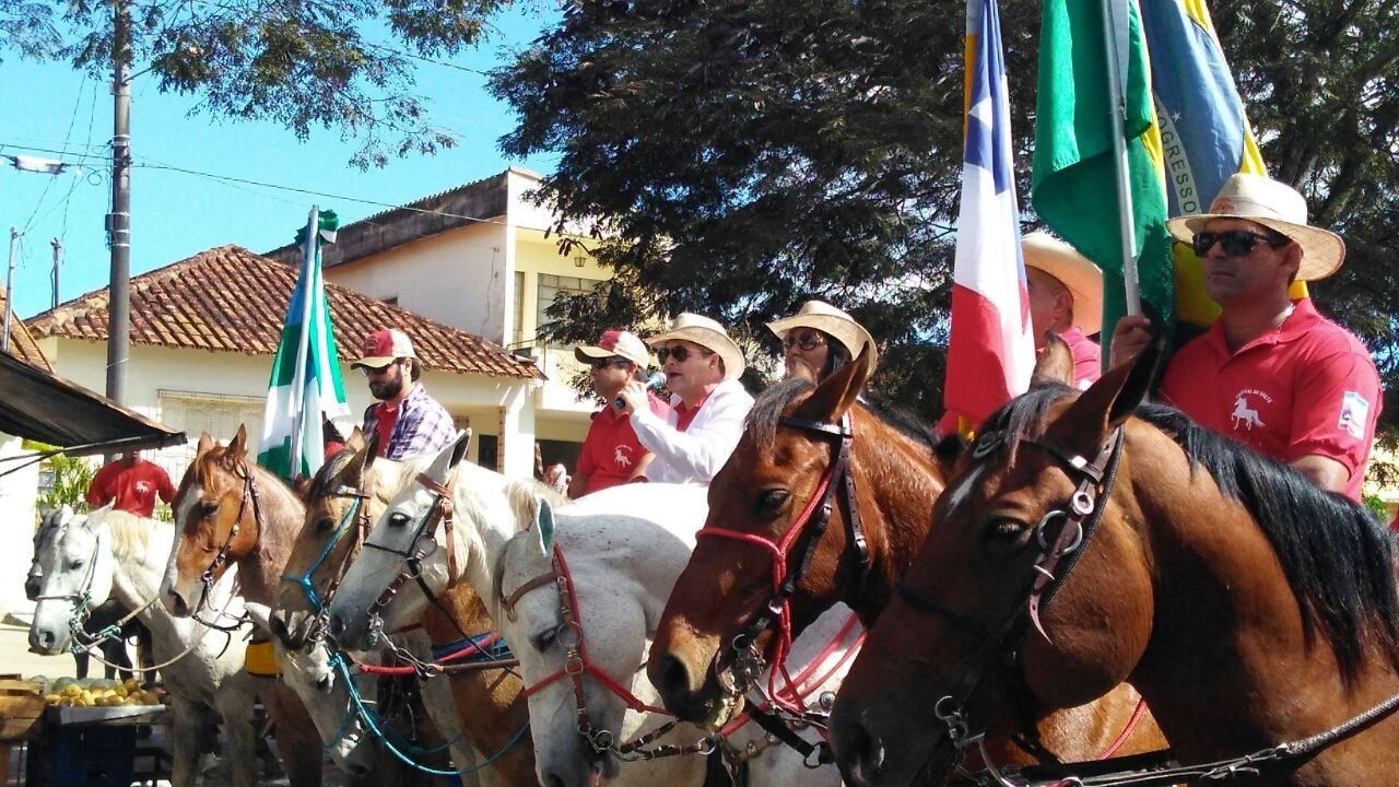 Cuidados que você deve ter ao levar seu cavalo para um evento