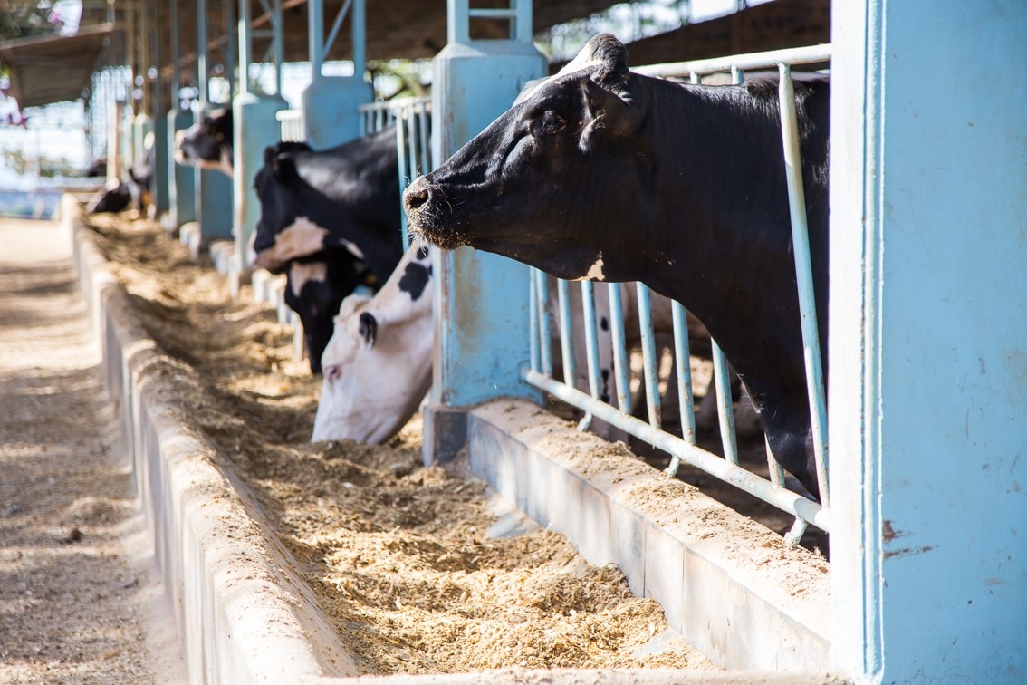 Quem investe em tecnologia ganha mais